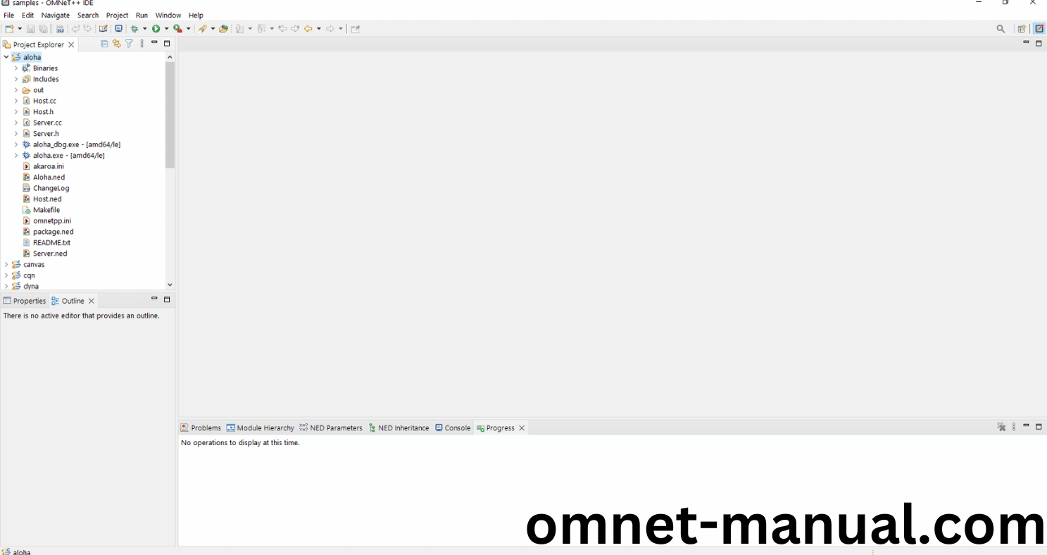 Executing the Example Program Using cConfigOption header file – OMNeT++ Simulator